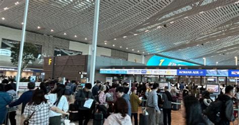 백신·치료제도 없는 질병…해외여행시 모기 조심하세요