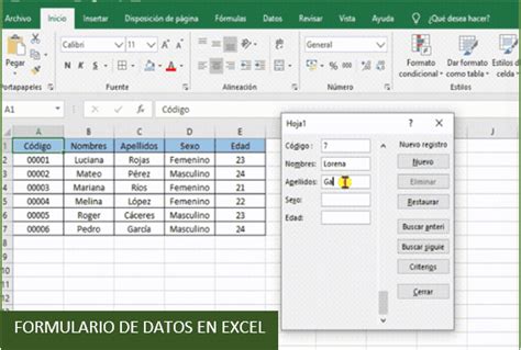 Formulario de datos en Excel Excel Básico Tecpro Digital