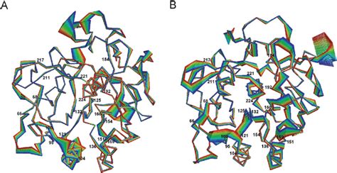 Large Concerted Motions Of 1ic6 A And 1sh7 B Described By