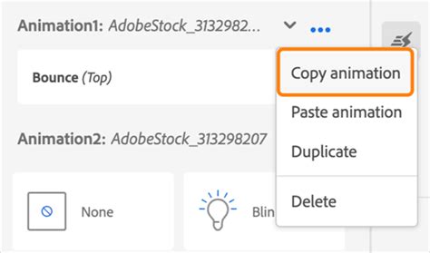 Animations In Adobe Captivate