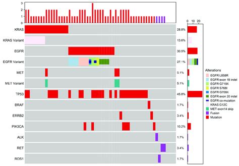 Oncoprint Of The Early Stage Nsclc Cohort Genomic Alterations This