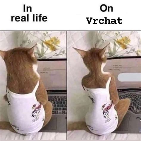 Vrchat In Real Life