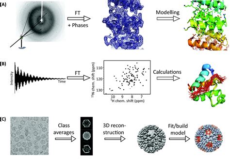 Cryo Electron Microscopy Based Service Mtoz Biolabs