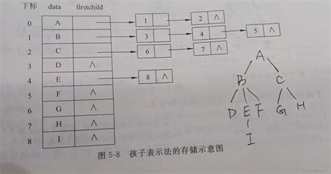 树的基础知识树叶 分支结点 结点 Csdn博客