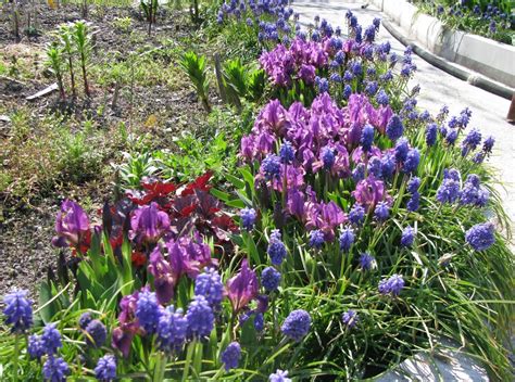 СНИМКИ ЗА КОРИЦАТА ВЪВ ФЕЙСБУК Форум