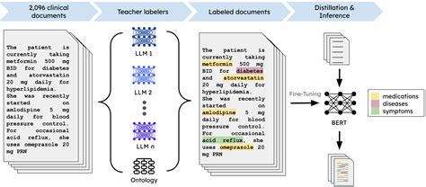 论文审查 Distilling Large Language Models For Efficient Clinical Information Extraction