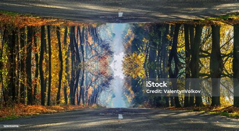 시골 가을 길의 미래 사진 도로는 하늘에 반사 된 것처럼 보입니다 0명에 대한 스톡 사진 및 기타 이미지 0명 가을 가을 단풍 Istock
