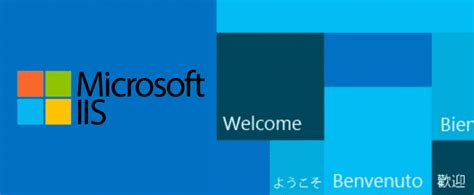 Fix Iis World Wide Web Publishing Service W3svc Randomly Stuck