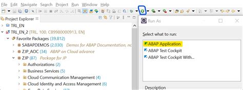 Exploring Abap On Hana 1 Introduction To Cds Views Discovering Abap