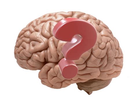 the best science of learning books for teachers books in a flash