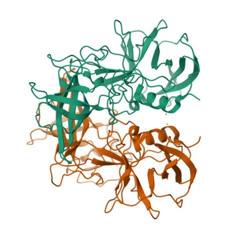 Rcsb Pdb 9edm Gii9 Va97207 Norovirus Protruding Domain