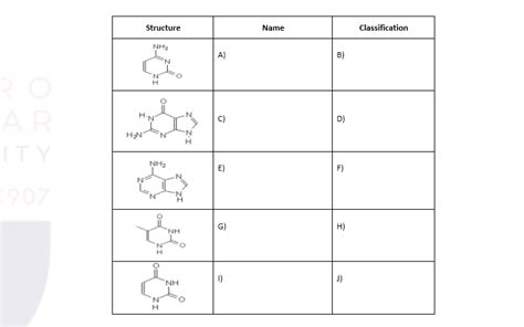 [solved] Identify The Following Nucleic Acid Bases And Then Classify Whether Course Hero