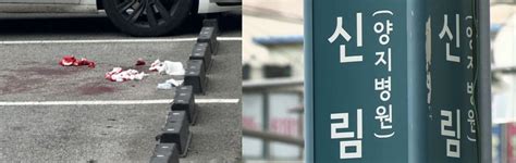 신림역 칼부림 사건 Cctv 공개 가해자 신상 전과 17범 나이 범행 이유