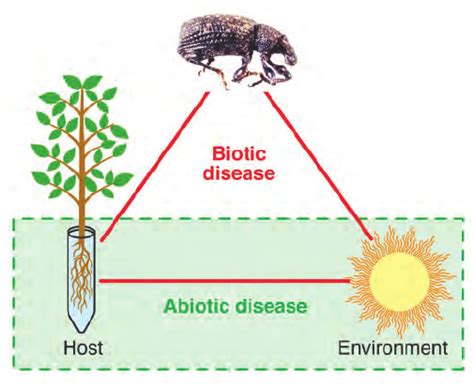 3 —the “disease Triangle” Illustrates The Concept That A Host A Pest