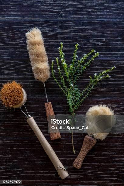 나무 배경에 자연 퇴비 식 청소 도구 브러시 및 스폰지의 다양한 친환경 주방 및 가정용 제품 제로 폐기물 지속 가능한 플라스틱 무료 라이프 스타일 0에 대한 스톡 사진 및