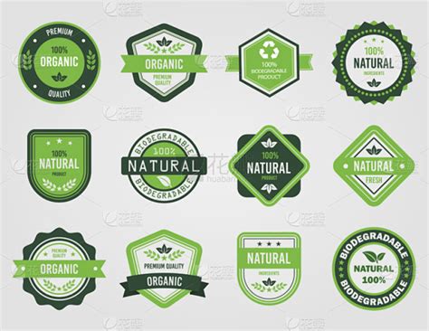 健康食物 多样 生物学 蔬菜 商务 素食 菜单 清新 环境 食品