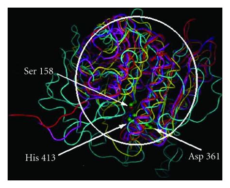 Superposed Structures Of X Ray And Modeled Structures Of The Selected