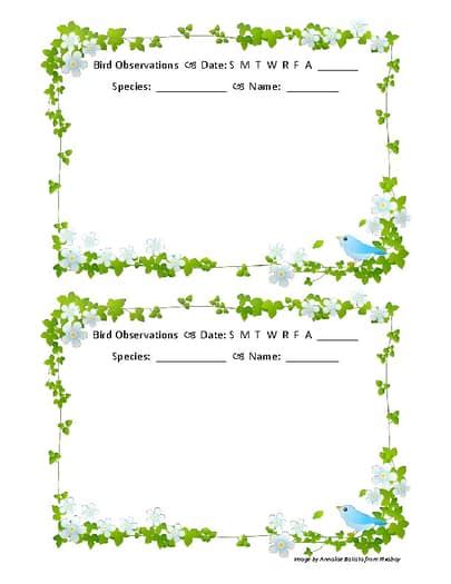 Backyard Bird Observation Sheettemplate By Heathers Homemade Tpt