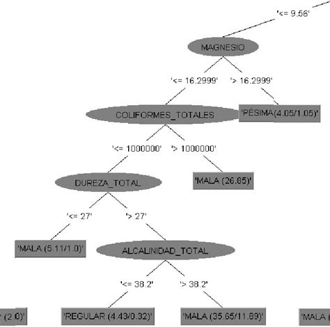 Two Levels Prunned Classifier Tree Download Scientific Diagram