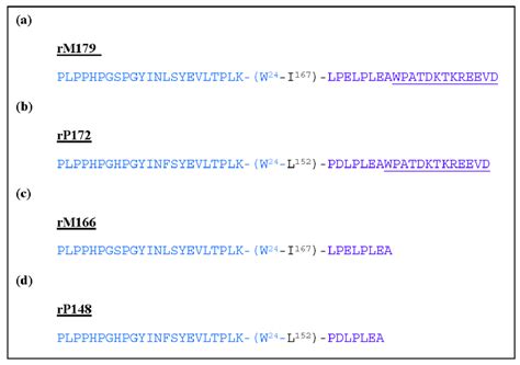 Comparison Of N Terminal Segment Of Mouse And Porcine Blue In The