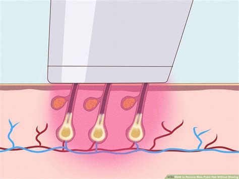 Pubic Hair Razor