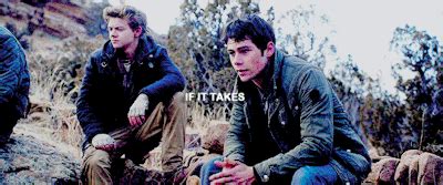 Gladernnewt Tumblr Com Tumbex