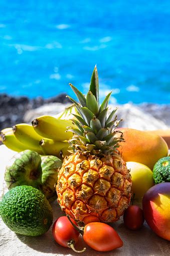 푸른 바다 배경에 열대 과일 컬렉션 커스터드 사과 또는 녹색 잘 익은 체리 모이아 열정 과일 파인애플 망고 타마릴로 아보카도 이국적인 과일 0명에 대한 스톡 사진 및 기타