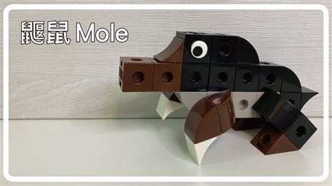 Mole 鼴鼠How to Build Gigo Mole 如何用智高積木搭建鼴鼠 鱷魚老師 YouTube