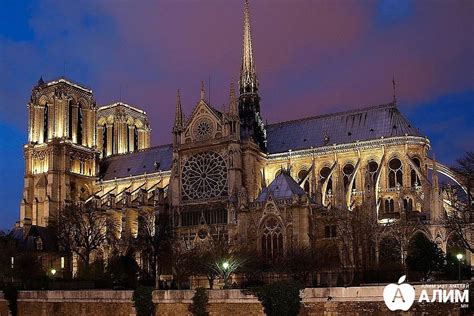 Найман сарын засварын дараа Парисын Дарь Эхийн сүм гаднах гэрлээ асаалаа