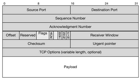 Solved Considering Just The Sequence And Acknowledgement