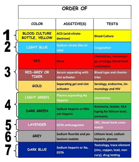 Order Of The Draw Diagram Quizlet