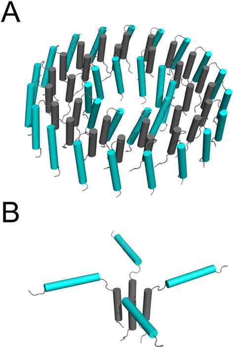 hypothetical models of tata oligomers in solution a and in the