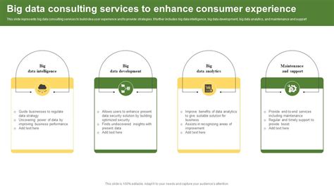 Big Data Consulting Services To Enhance Consumer Experience Ppt Example