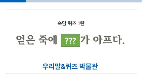 속담 퀴즈 1탄 한국과 세계 각국의 속담을 맞혀보세요 지식 상식 두뇌 운동 치매 예방 Proverb Quiz