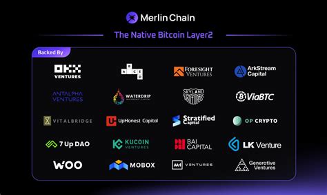 Merlin Chain Secures Funding To Empower Bitcoin Native Innovations