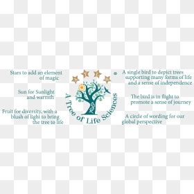 Evolution Of The Tree Graphic Design HD Png Download Vhv