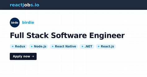 remote full stack software engineer at birdie