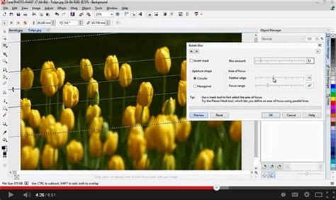 Have You Checked Create A Depth Of Field Effect With Bokeh Blur Training Video CorelDRAW
