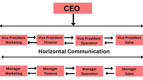 What Is Horizontal Communication Examples Types And Advantages