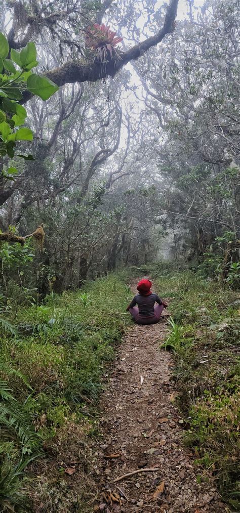 Meet Lilli Bold Journey Magazine