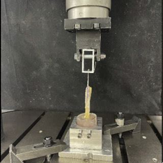 Testing Set Up On The Dynamic Tensile Testing Machine Download Scientific Diagram
