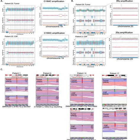 Genetic Alterations Detected In Tumor Tissue And Cfdna Extracted From