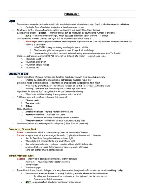 Notes 2 4 Perception Pdf Retina Visual Cortex