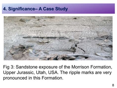 Sedimentary Structures Seminar Slide Pptx