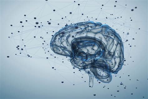 3 reasons why you should know about the default mode network of your