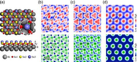 A Dft Optimized Atomic Structures Of The Observed R3 Stanene On