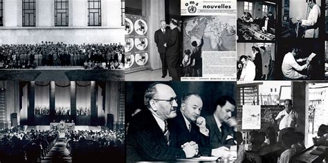 History
