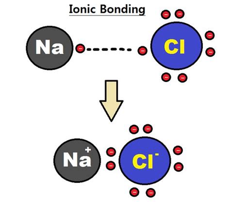 Non Ionic Compound Examples