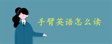 手臂英语怎么读 战马教育