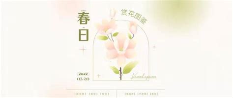 春日杭城赏花图鉴 樱花 郁金香 杭州